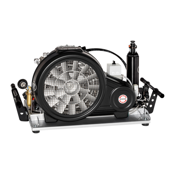 LW COMPRESSORS LW 150 E MC OPERATING INSTRUCTIONS MANUAL Pdf Download ...