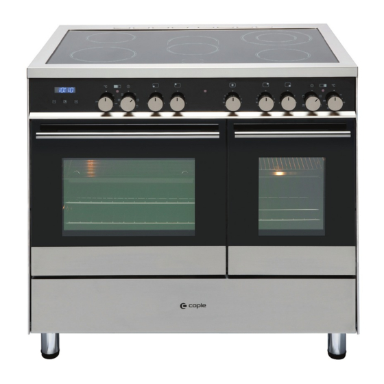 CAPLE CR 1207 INSTRUCTION MANUAL Pdf Download | ManualsLib