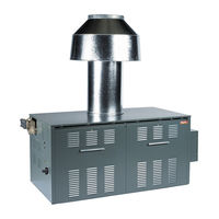 User Manuals: Raypak RAYTHERM H-1468 Water Heater