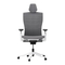 AUTONOMOUS ERGOCHAIR ASSEMBLY AND INSTRUCTION MANUAL Pdf Download ...