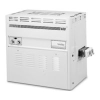 Pentair pool products MiniMax Plus 250 Manuals | ManualsLib