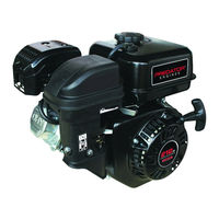 Predator engines 420cc Manuals | ManualsLib
