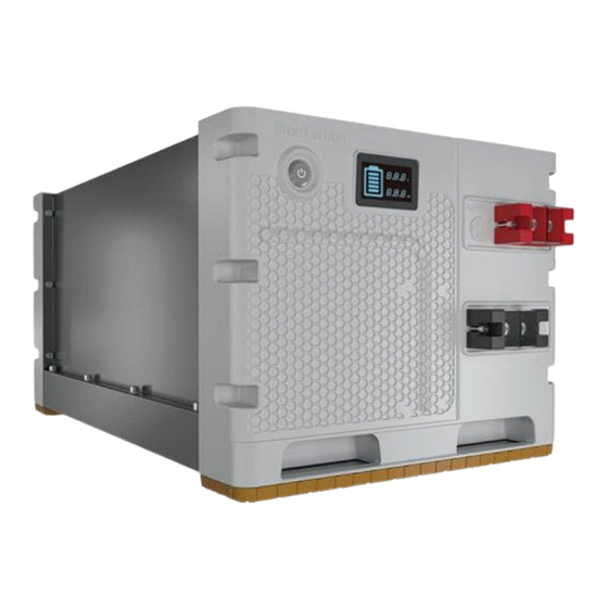 BLUE CARBON BCT-UU 24-250 INSTRUCTION MANUAL Pdf Download | ManualsLib