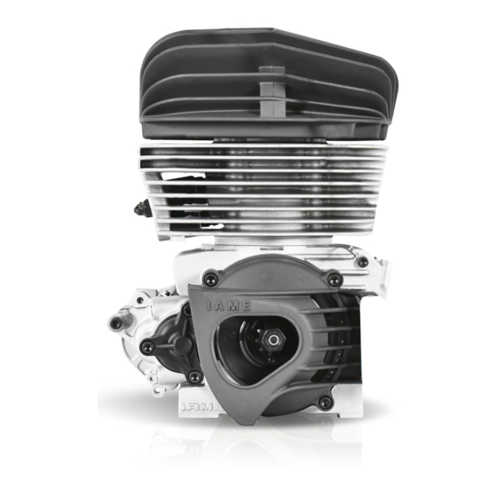 IAME REEDJET AUS 100CC-TAG INSTALLATION MANUAL Pdf Download | ManualsLib