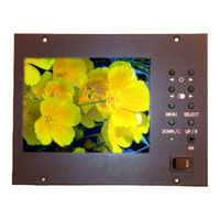 PSI DISPLAYS PAV40 USER MANUAL Pdf Download | ManualsLib