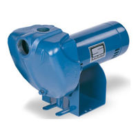 PENTAIR STA-RITE DS3 SERIES OWNER'S MANUAL Pdf Download | ManualsLib