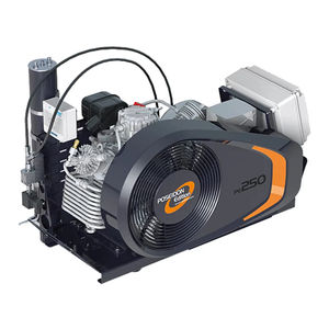 User Manuals: Bauer POSEIDON PE 200-TE Air Compressor