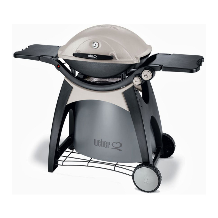 Weber Q 300, Q 320, 426001 Manual | ManualsLib