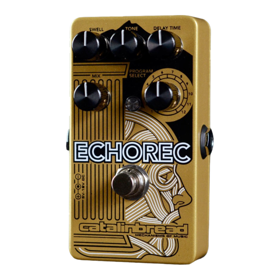 CATALINBREAD ECHOREC AMP MANUAL Pdf Download | ManualsLib