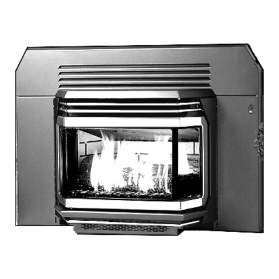 ENVIRO GAS EG-40 FPI. BV. OWNER'S MANUAL Pdf Download | ManualsLib