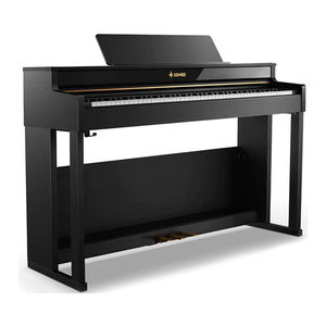 Donner DDP-400 Manuals | ManualsLib