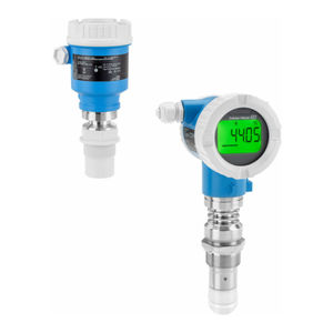 Endress+hauser Micropilot FMR66B Manuals | ManualsLib