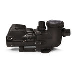 HAYWARD ECOSTAR SP3400VSP OWNER'S MANUAL Pdf Download | ManualsLib