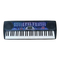 CASIO CTK-496 ELECTRONIC KEYBOARD USER MANUAL | ManualsLib