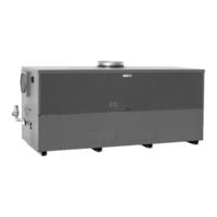 Raypak HI DELTA 1532B Manuals | ManualsLib