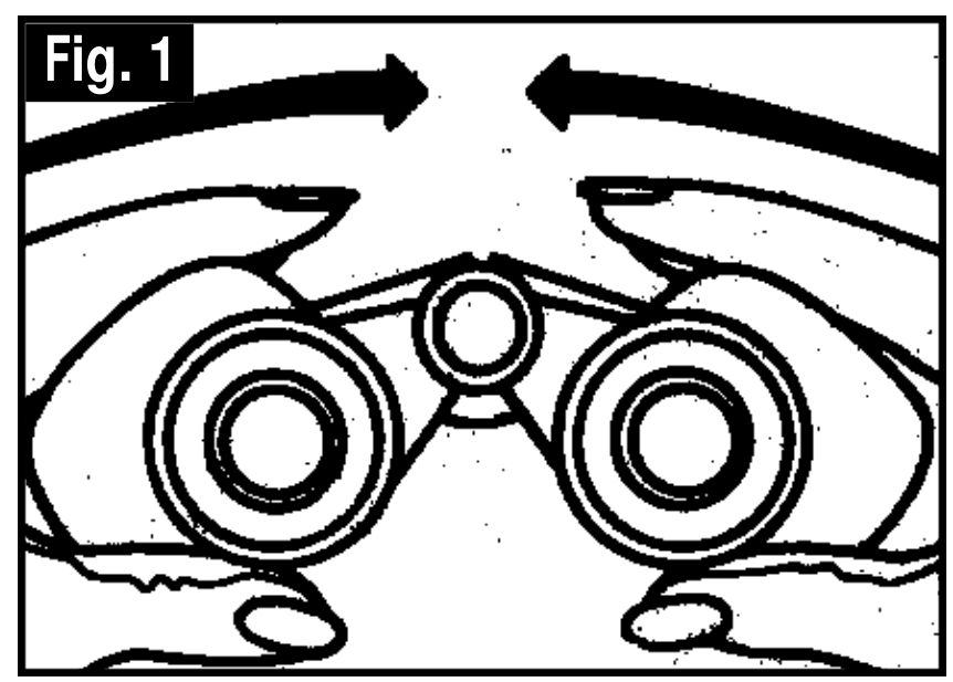 How to Properly Focus Bausch & Lomb Binoculars | ManualsLib