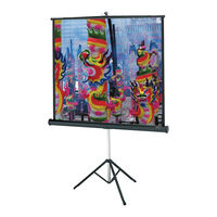 Da-Lite Projection Screen User Manuals Download | ManualsLib