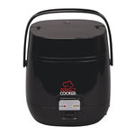 PERFECT COOKER RC 301M INSTRUCTION MANUAL Pdf Download | ManualsLib