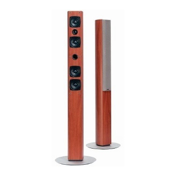 Audio Pro Cinema C5: Floorstanding Speaker Tech Specs | ManualsLib
