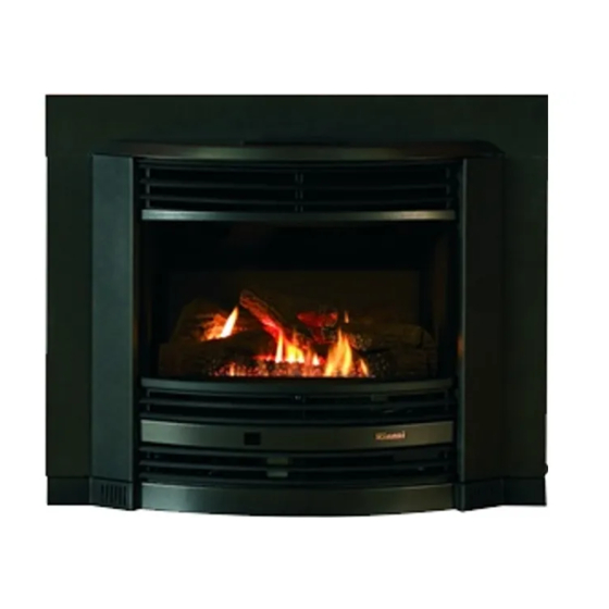 Rinnai Flame Fire Operating and Installation Instructions | ManualsLib