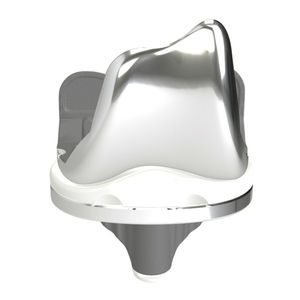 LIMACORPORATE PHYSICA KNEE SYSTEM INSTRUCTIONS FOR USE MANUAL Pdf ...